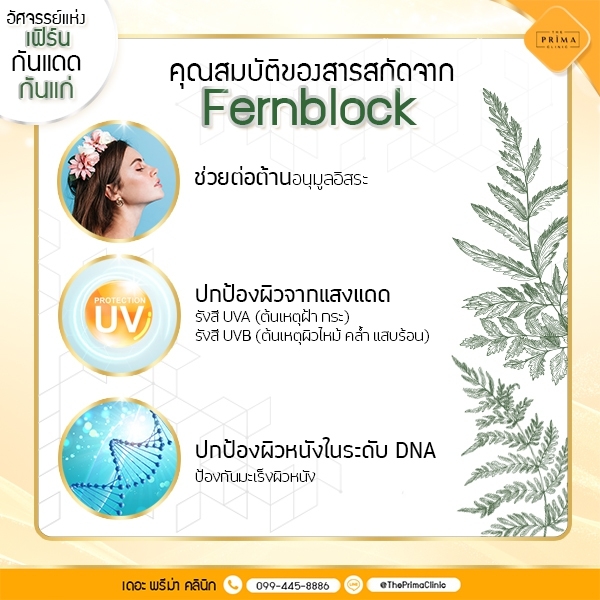 อัศจรรย์แห่งเฟิร์น กันแดด กันแก่ | สรรสาระโดยหมอช้อป